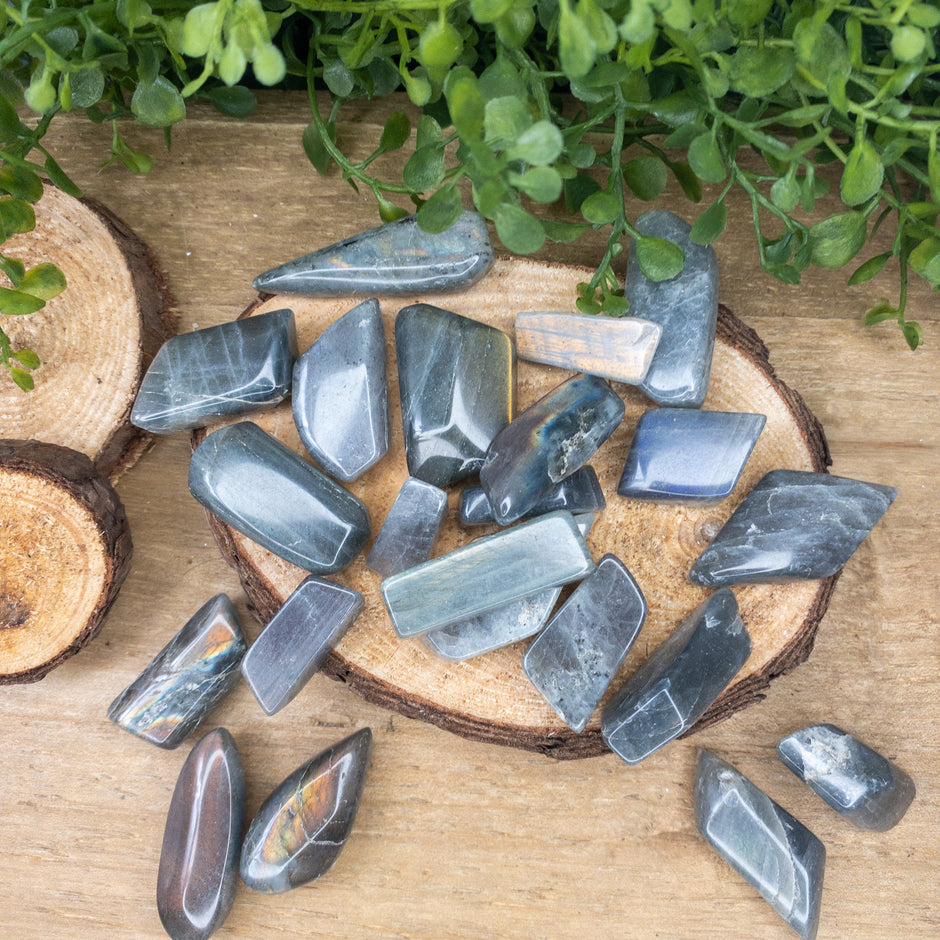 Freeforms – Eden's Crystal Garden